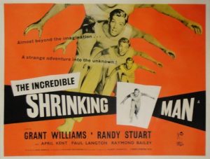 The Incredible Shrinking Heart – glennsreflections.com